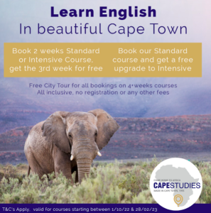 Cape Studies – language school – Learn English with one of the best ...
